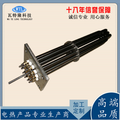 厂家供应水箱电加热管加热器法兰集束式电热管侵入式电加热器