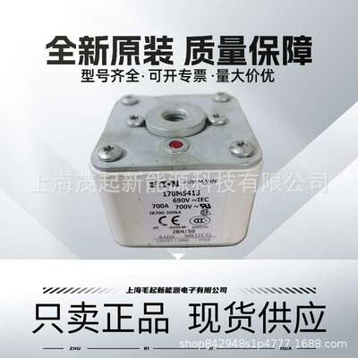 170M5412 170M5413 170M5414 170M5415 170M5416 巴斯曼熔断器