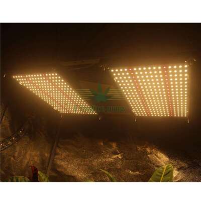 250W 双散热器 LM301H Quantum LED Board 植物灯量子板 配明纬
