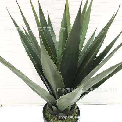仿真植物剑麻盆景胶叶黄冠兰假树龙舌兰室内摆件热带植物