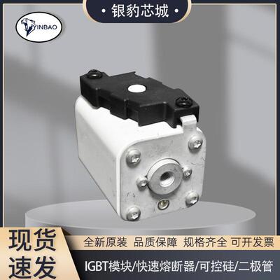 170M4956 170M4957 170M4958 170M4959 170M4960现货熔断器保险丝