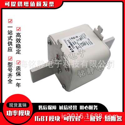 熔断器 170M6647 170M6648 170M6649 170M6650 170M6651