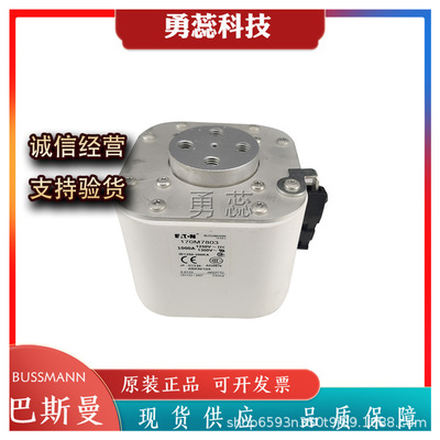 熔断器170M7248 170M7249 170M7250