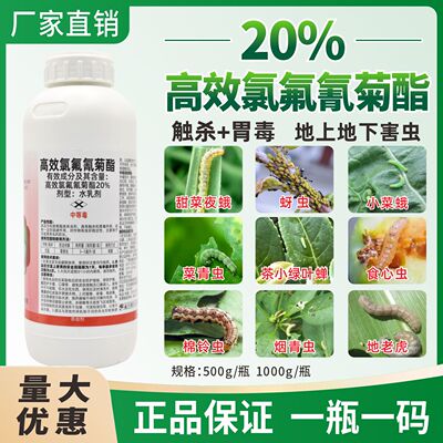 20%高效氯氟氰菊酯杀虫剂菜青虫
