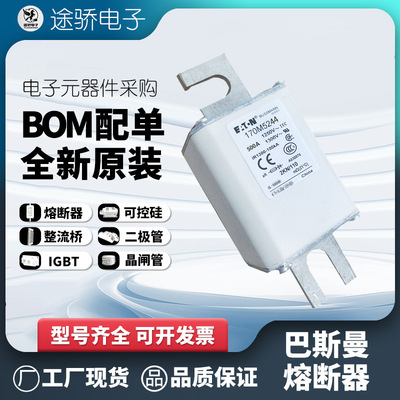 170M5248 170M5249 170M5250  bussmann伊顿巴斯曼熔断器