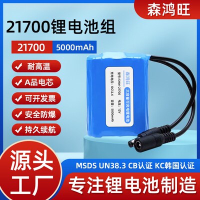 源头工厂21700锂电池30000mah12V广场舞音箱大功率打窝船锂电池组