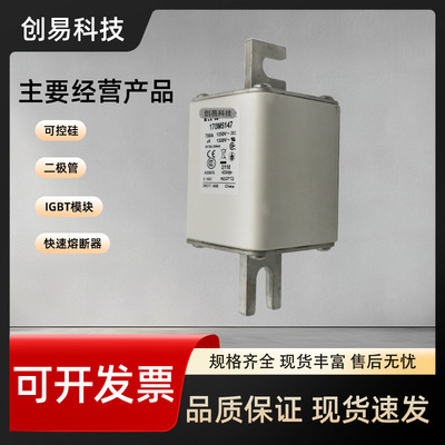 170M5163 170M5164 170M5165 170M5166 170M5167 170M5168保险丝