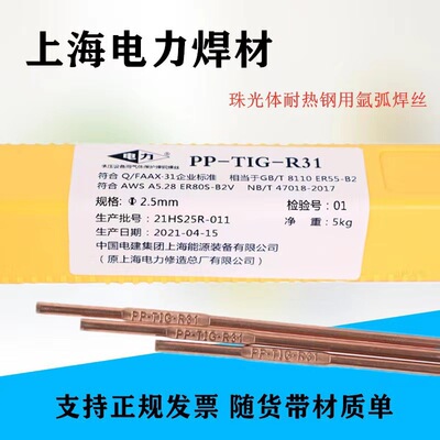 电力PP-TIG-A30L/ER309L焊丝