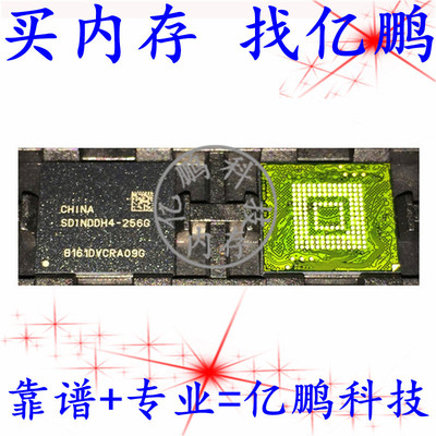 SDINDDH4-256G拆机LUN0已测