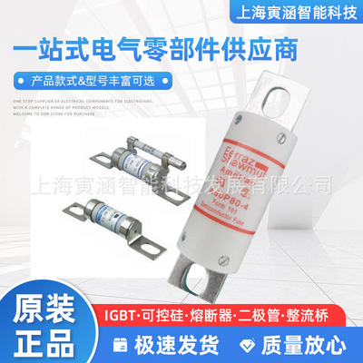 FERRAZ罗兰熔断器A50P35-4 A50P40-4 A50P50-4 A50P60-4 A50P90-4