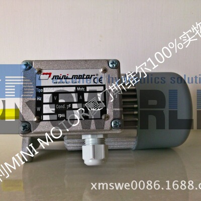 AM145P2T 编号:916397 意大利MINI MOTOR迷你电机中国区服务中心