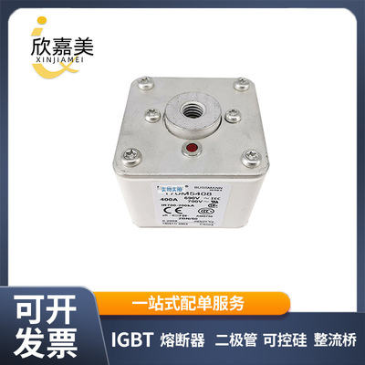 170M5408  170M5410 快速熔断器  保险丝 电子元器件 量大价优