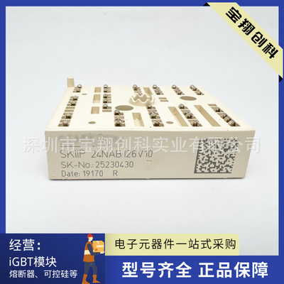SKIIP24NAB126V10 SKIIP24NAB126V1 SKIIP24NAB12T4V1 NAB125T12