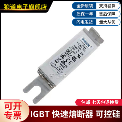 快速高压熔断器巴斯曼170M1365 170M1366 170M1367 170M1368