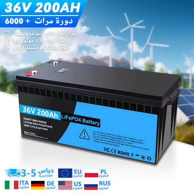 ?????? ?????? LiFePO4 36V 200Ah 100Ah 48V 51.2V