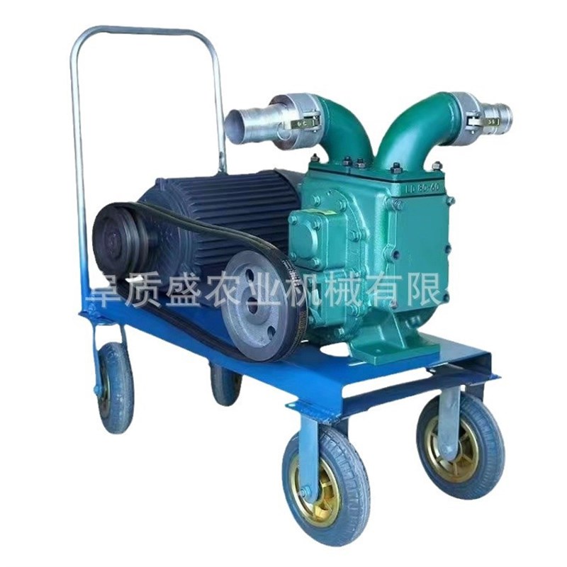 农用吸粪泵 家用抽粪吸粪泵家用化粪池吸粪车吸粪吸污泵