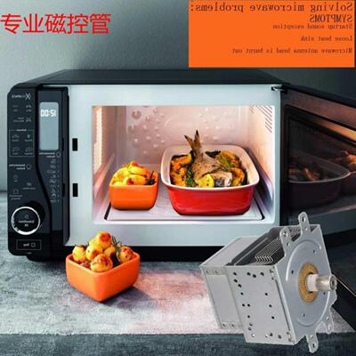 波炉磁控管W10754299 Microwave Magnetron 2M226-03GWH Part f