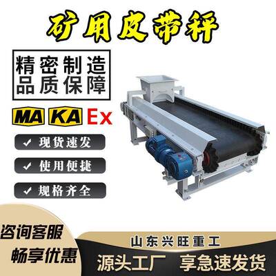 矿用隔爆型皮带秤ICS-ST结构稳定远程数据传输本安皮带计量秤