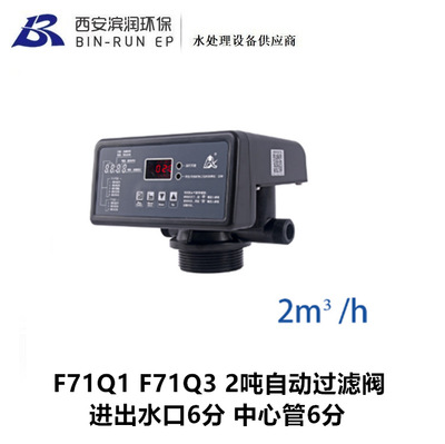 F71Q1 F71Q3 润新2吨自动过滤阀 进出水口6分 中心管6分