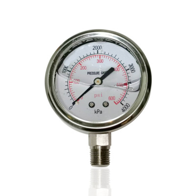 供全不锈钢压力表耐震注油充液304径向立装YNBF604000kPa1/4NPT
