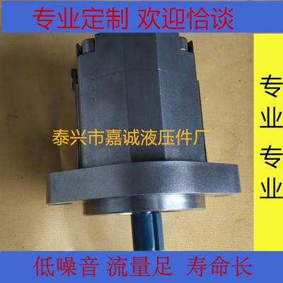 特 殊润滑泵不锈钢泵 可逆式双向油泵 来图 非标泵