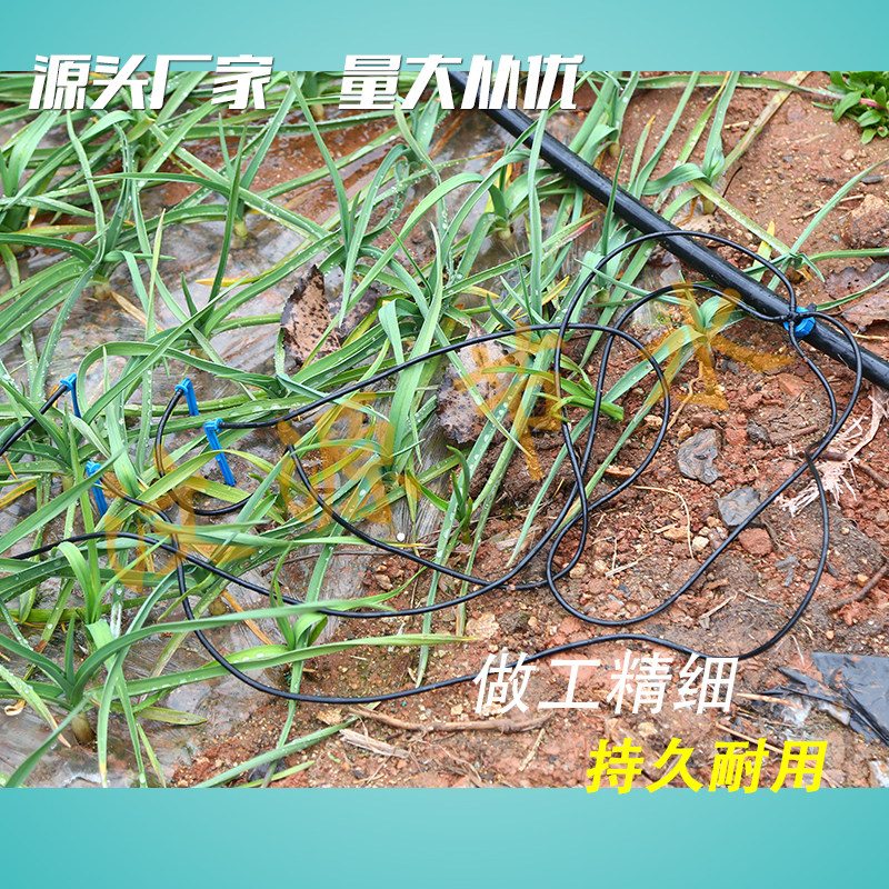 一出二四直弯滴箭套装 菜园喷灌稳流器 农用灌溉压力补偿滴灌滴头