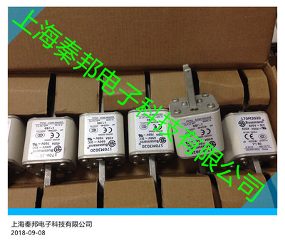 [170M4926][170M4927]美国EATON伊顿bussmann熔断器