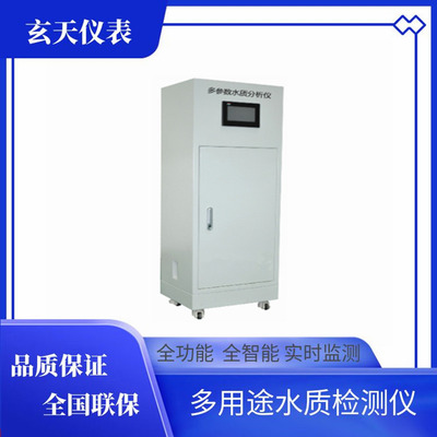 机柜式在线多参数水质检测仪数据无线远传全自动水质监测仪XT-300