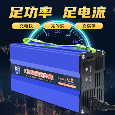 优信电动叉车充电器12V24V10A15A20A30A伏液压堆高车升降机洗地机