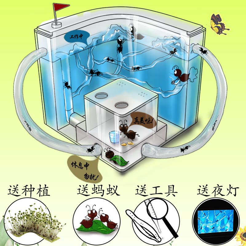 蚂蚁工坊宠物蚂蚁窝蚂蚁城堡蚂蚁家园蚁后别墅桌面生态蚁巢幼儿园