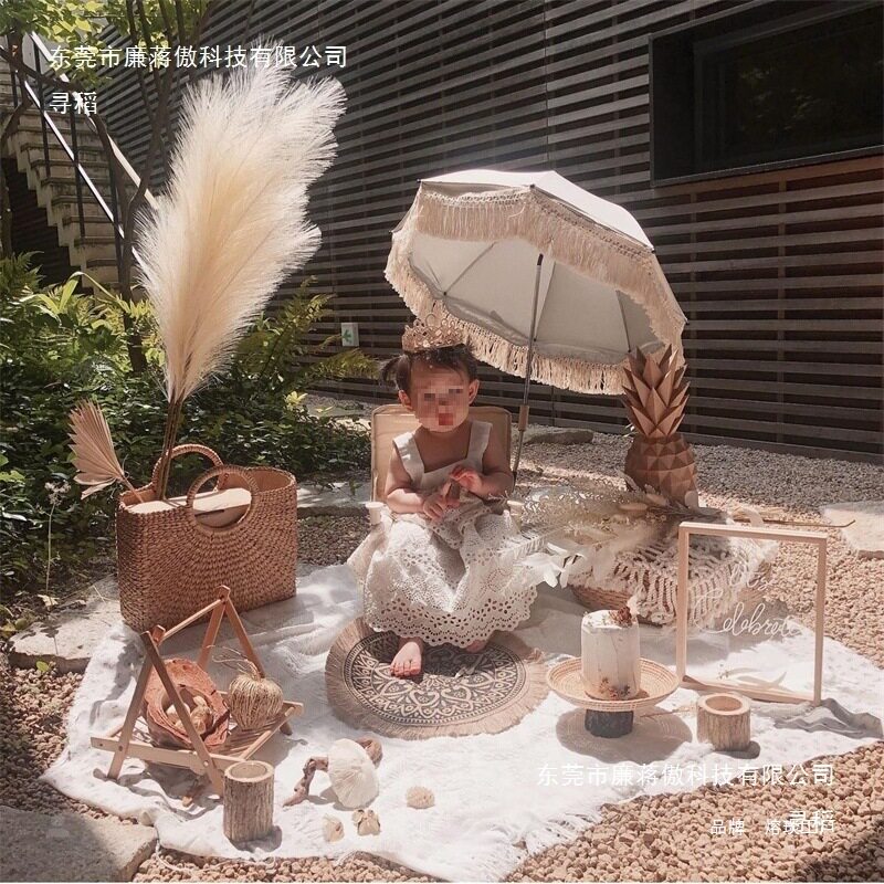 雨伞拍照防晒沙滩太阳伞沙滩椅椅户外便携儿童踏青折叠餐椅详情