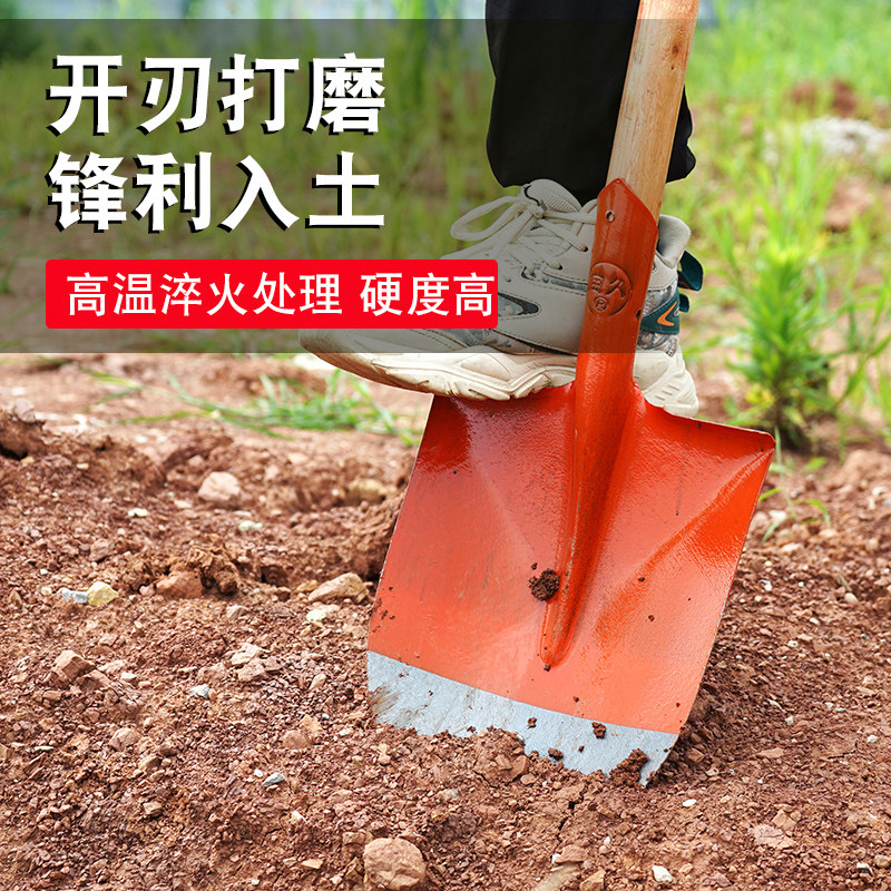 锰钢铁锹大铁锨家种菜神器淘金工具全钢一体户外铲子车载铲植树节
