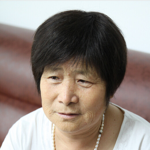 假发女中老年人真发假发短夏季女士直发整顶真人发丝化疗妈妈假发