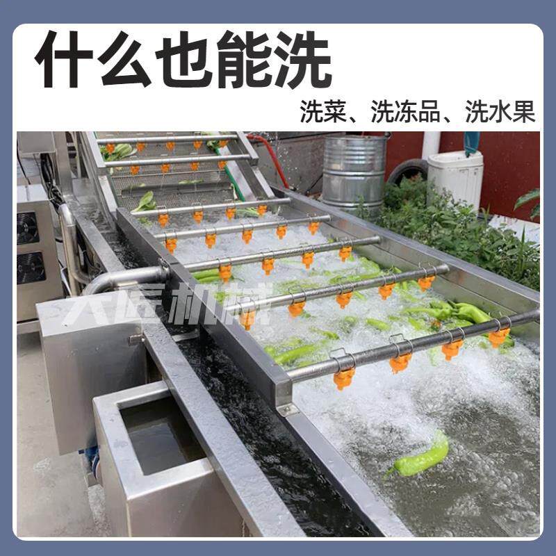 气泡清洗机商用大型瓜果肉类龙虾海产品果蔬洗菜机解冻机流水线