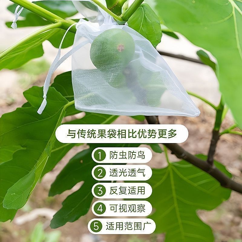 葡萄专用套袋果袋防虫防鸟无纺布包瓜果水果实果树果子嫁接专用袋