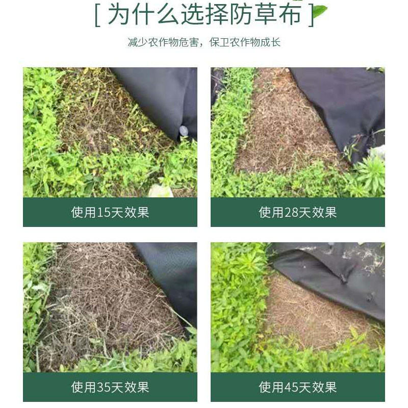 生态防草布除草布农用果园槟榔地膜盖草地布厂家直销加厚保湿