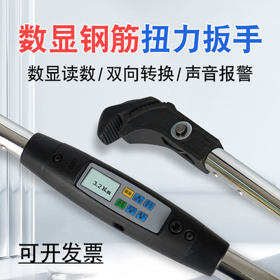 检测直螺纹钢筋套筒扭力扳手电子数显力矩扳手带刻度机械预置管钳