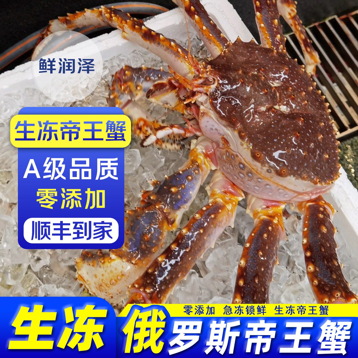 鲜润泽生冻帝王蟹俄罗斯进口零添加皇帝蟹顺丰到家海鲜大蟹螃蟹