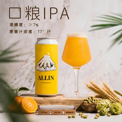 泡沫海啤酒ALLIN双倍干投浑浊IPA精酿啤酒口粮酒500ML（10/9产）
