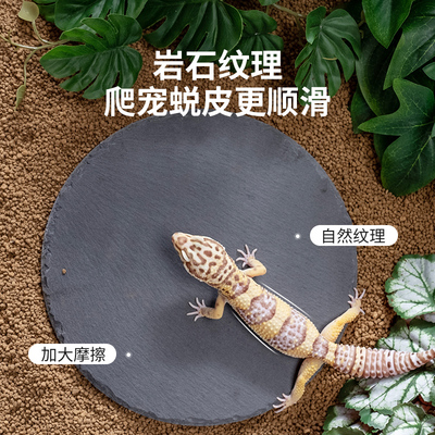 爬虫保湿磨爪岩板装饰造景守宫蜥蜴蜕皮石板垫材乌龟天然喂食盆