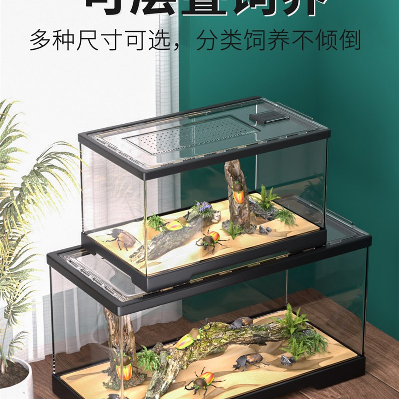 壁虎繁殖箱,睫毛角鬃狮蜥蜴生态爬行动物宠物箱寄居蟹透明雨林景