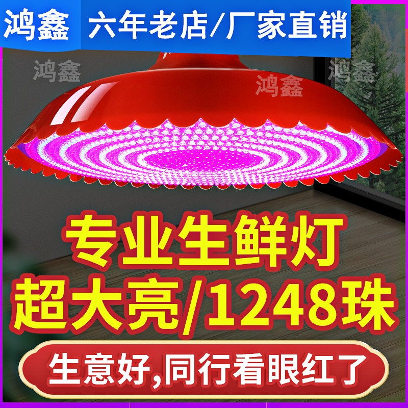 鸿鑫2025新款高显色LED全白生鲜灯猪肉灯冷鲜肉白光熟食水果灯