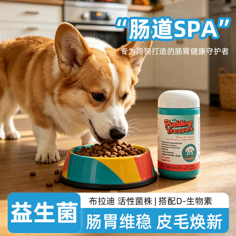 宠物狗狗益生菌布拉迪肠胃健康狗形保健品布丁元宝进口免疫力提高