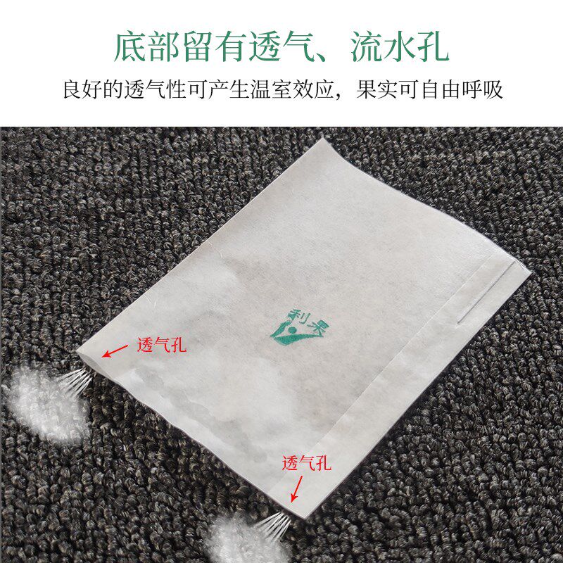 西梅套袋专用袋欧洲李西洋李套袋纸袋果树包果袋水果袋子防鸟防虫