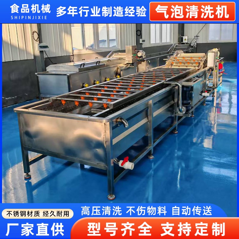 全自动洗菜机大型果蔬清洗机商用气泡清洗蔬菜机网链喷淋清洗设备