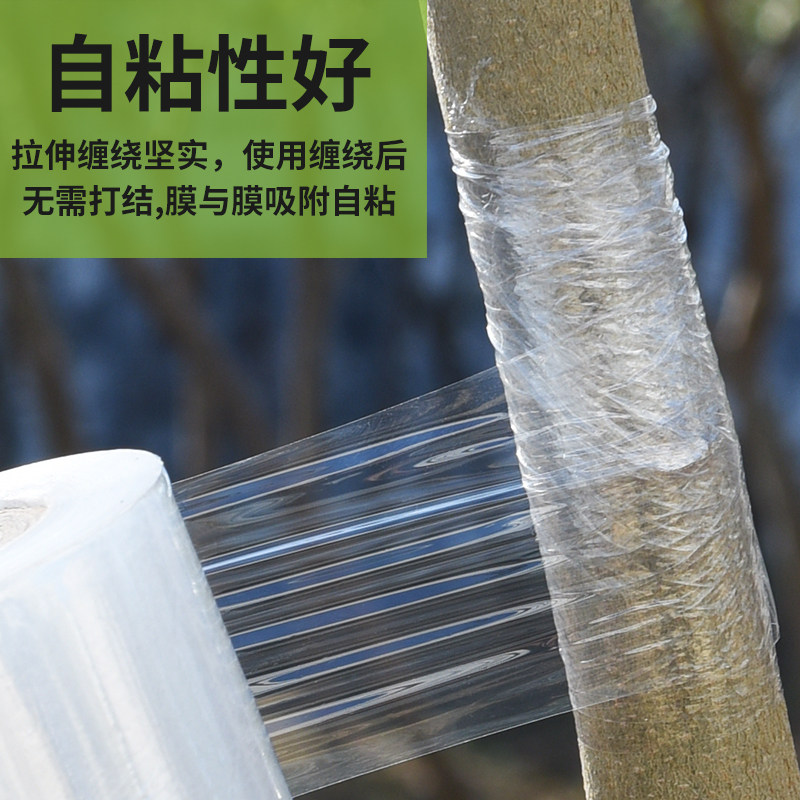 嫁接膜自粘式无需打结专用膜果树绑带包扎带缠绕膜免拆塑料PE苗木