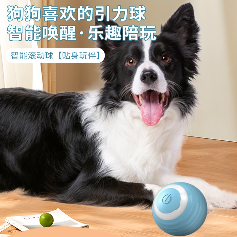 萨摩耶专用逗狗狗玩具球自嗨解闷宠物犬小狗智能自动遛狗球