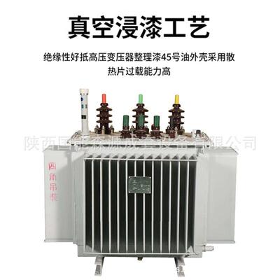 国能10三KV高压工业11-250KVA相油浸式变压器315/400KS11/500/63S
