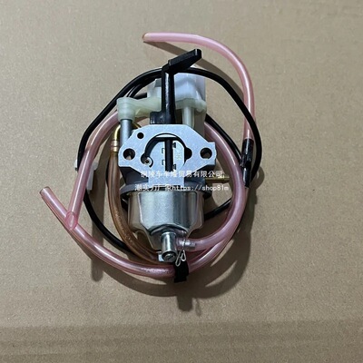 IG2600化油器用于开普IG2600HKGE3000TIKG166K171GTI-10000