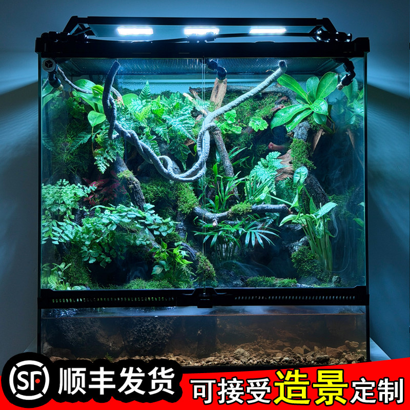 雨林生态缸造景全套爬宠玻璃饲养箱守宫蜥蜴角蛙乌龟专用成品造景